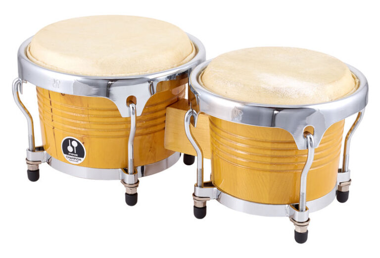 Bongo - Welches Instrument